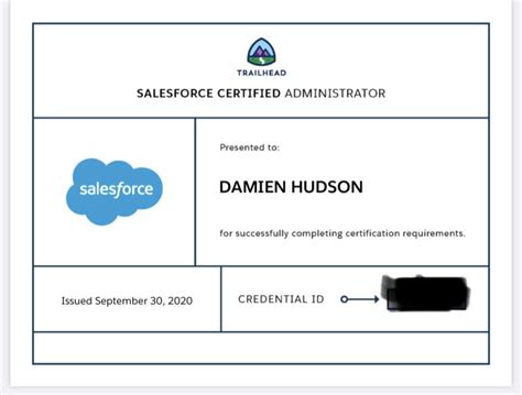 Damien Hudson On Linkedin Certification Certified Salesforce Administrator 12 Comments
