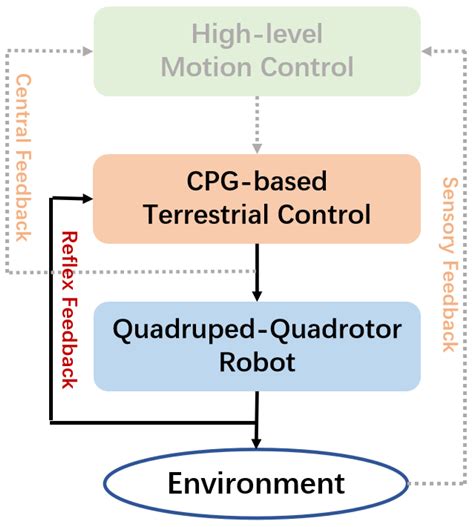 Motion Control Of A Hybrid Quadruped Quadrotor Robot