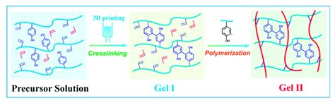 Dual Enzyme Catalyzed Gelation Of Napffrk Acryloyl Based Hydrogel A