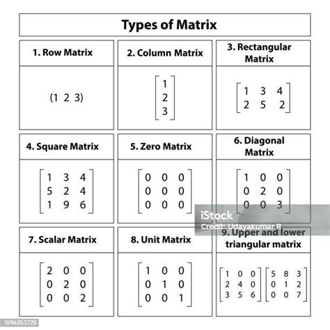 Types Of Matrix Vector Illustration On White Backround Stock Illustration Download Image Now
