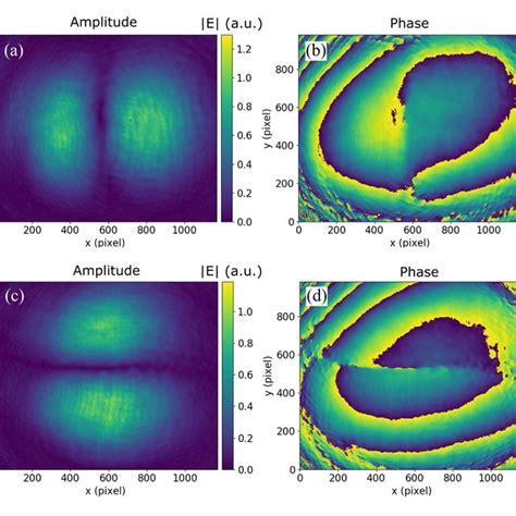 A And C Retrieved Amplitude Of The Horizontally And Vertically Download Scientific Diagram