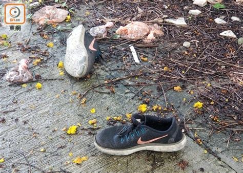 大欖涌村男子捕魚期間 遭魚網纏腳墮河溺斃｜即時新聞｜港澳｜oncc東網