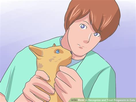 How To Recognize And Treat Ringworm In Cats 12 Steps