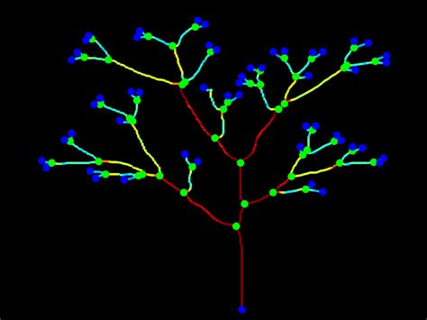 Illustration Of The Method On A Synthetic Tree Left And A Cropped Download Scientific Diagram