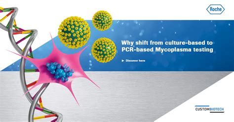 Corina Grigoriu On Linkedin Custombiotech Mycotool Mycoplasma Real