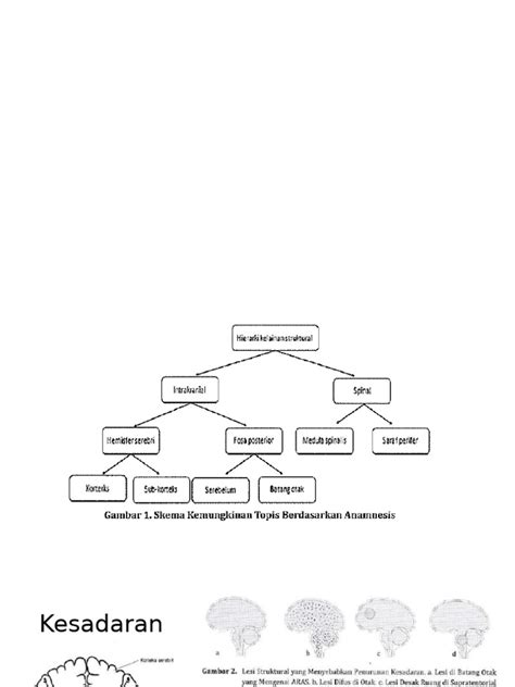 Pemeriksaan Fisik Topis Pdf