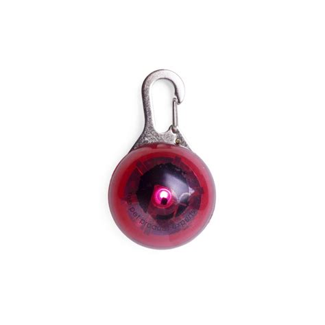 Outdoor Paws Flash Tag Red Blue