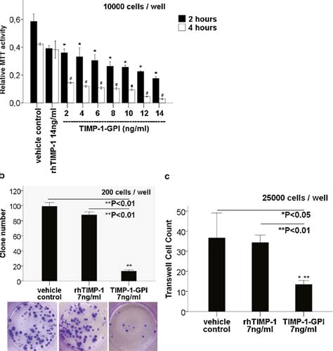 Gpi Anchored Timp 1 Suppresses Proliferation Clone Formation And