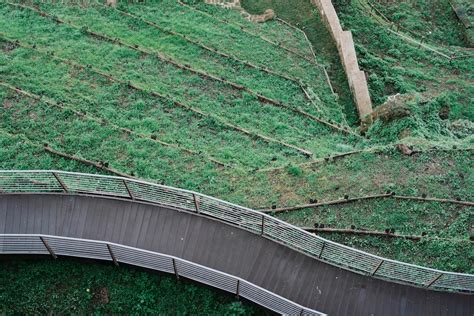 Premium Photo High Angle View Of Bridge Over Grass