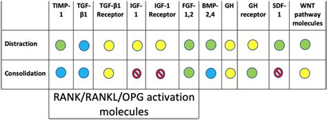 Schematic Presentation Of Different Molecule Concentration Deviation