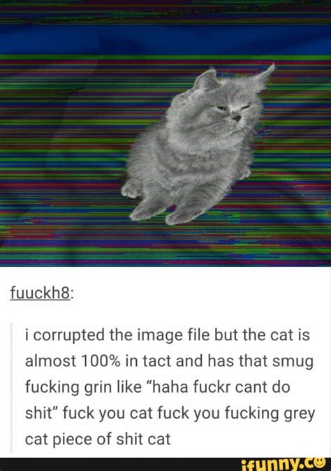 Fuuckh I Corrupted The Image File But The Cat Is Almost In Tact And Has That Smug Fucking