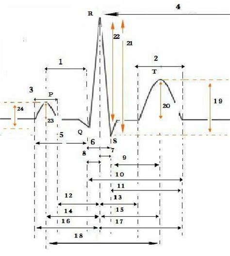 Extracted Features Download Scientific Diagram
