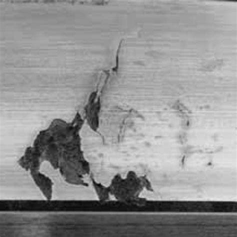 Pdf An Extensive Review Of Vibration Modelling Of Rolling Element Bearings With Localised And