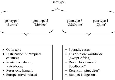 Transmission Routes And Risk Factors For Autochthonous Hepatitis E