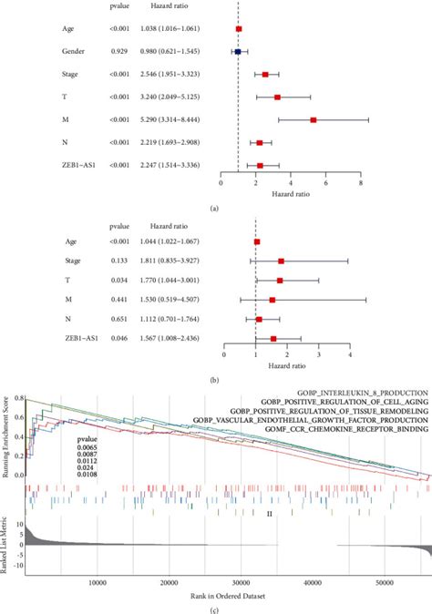 Predictive Potentials Of Zeb1 As1 In Colorectal Cancer Prognosis And