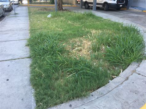 Noticias De Nuevo Laredo