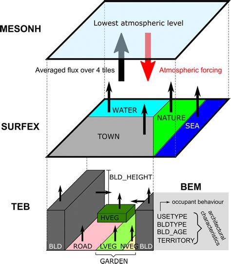 An Example Of The Hierarchy And Types Of Different Model Input