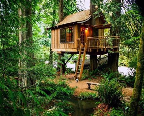 Creative Wooden Treehouse Ideas