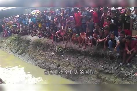 海边浮现巨大黑影，引来众人围观，小伙大胆上前却被吓得够呛！小伙黑影众人