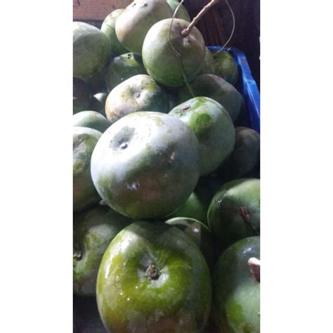 Jual Buah Mangga Kelapa Mentah 1 Kilogram Rasa Manis Sedikit Asam Fresh