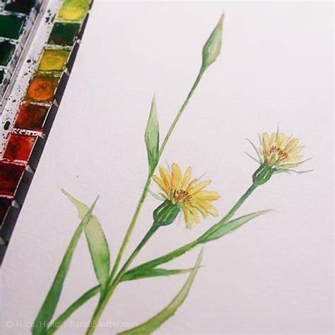 Haru Hello Watercolor Design Crafts Watercolor