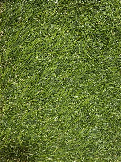 Three Dimensional Detailed Grass Texture Stock Image Image Of Green