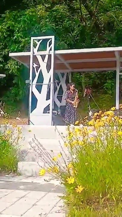 자연속에서 연주하는 기쁨 ㅎㅎ해후색소폰연주 버스킹 Youtube