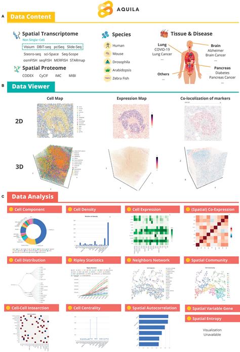 Schematic Design Of Aquila A Various Types Of Spatial Omics Datasets Download Scientific
