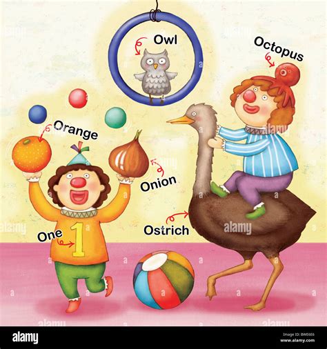 Alphabet O Study With Illustration And Words Stock Photo Alamy