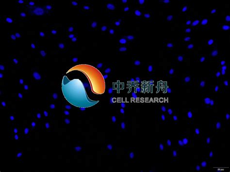大鼠肺大动脉平滑肌细胞 原代细胞 中乔新舟
