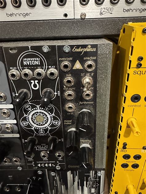 Modulo Eurorack Indian Resonator Reverb