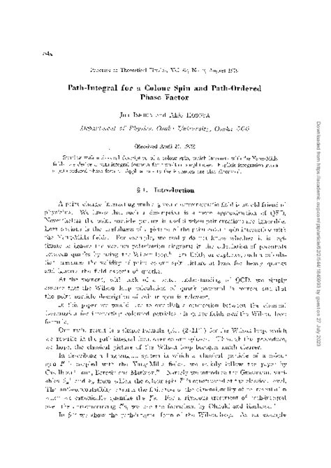 Pdf Path Integral For A Colour Spin And Path Ordered Phase Factor