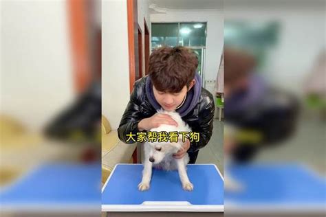 麻烦大家帮我看下狗，我去方便一下！