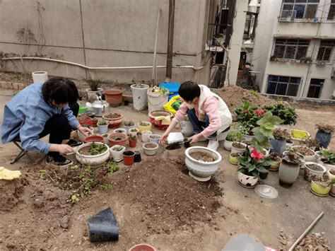 县农经站巩固提升文明单位创建成果办公环境工作