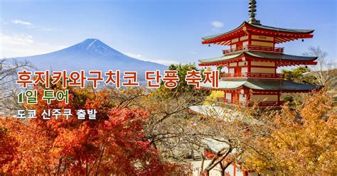 후지카와구치코 단풍 축제 1일 투어 Willer Travel