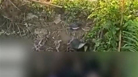 滁州全椒县一名男子打鱼时身亡，殡仪馆：系电网捕鱼出事七环视频澎湃新闻 The Paper