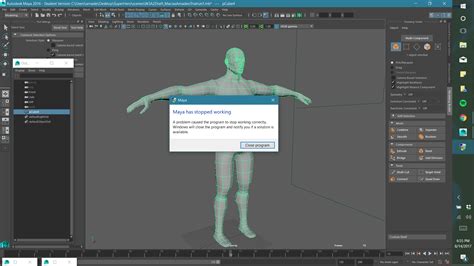 Issues With Smoothing In Maya 2016 After Windows Update Autodesk