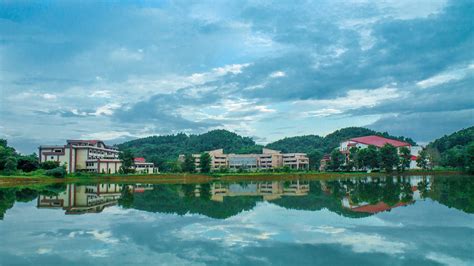 IIT Guwahati Admission Courses Fees Placement Cut Off