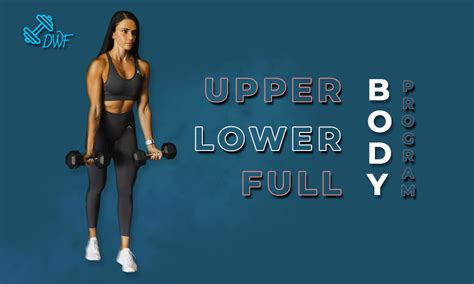 Upper Lower Full Body