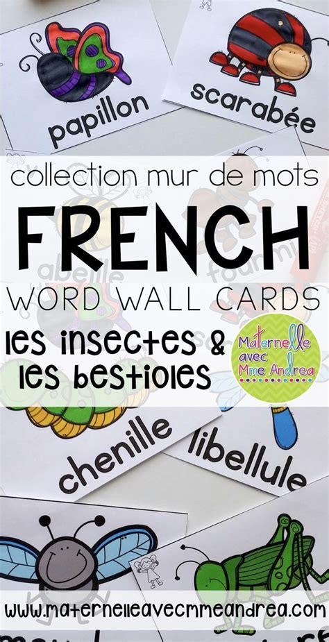 FRENCH Bugs Insects Vocabulary Cards Vocabulaire Insectes Bestioles Vocabulary Cards