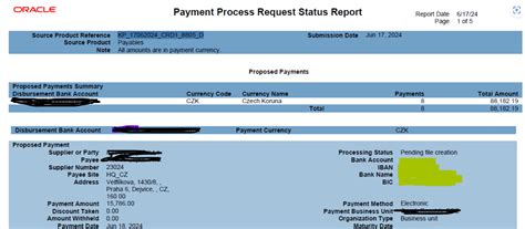 Payment Process Request Status Report Supplier Bank Account Not