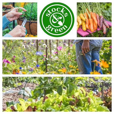 Grow Your Own Uk Vegetables Herbs And Flowers Ukdirectnet