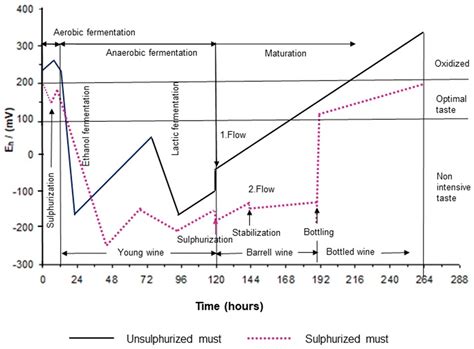 Fermentation Free Full Text The Role And Application Of Redox