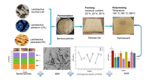 Effects Of The Type Of Lactic Acid Bacteria Hot Pressing Temperature And Moisture Content Of