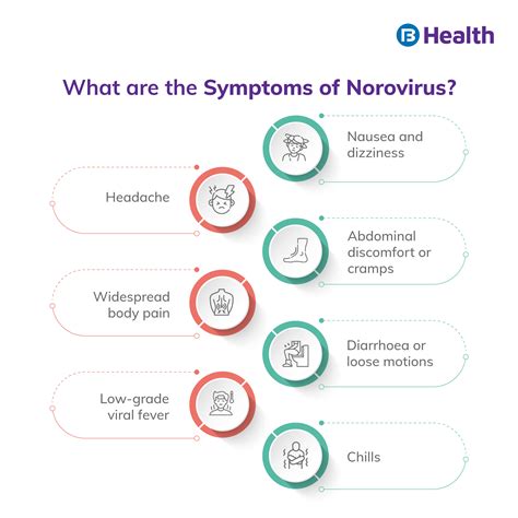 Want To Treat Norovirus Here Are The Best Tips