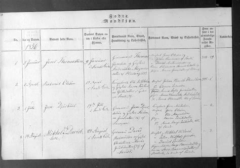 Rasmus Olsen (1856 - d.) - Genealogy