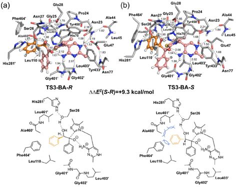 Optimized Geometries Of Selectivity Determining Transition State