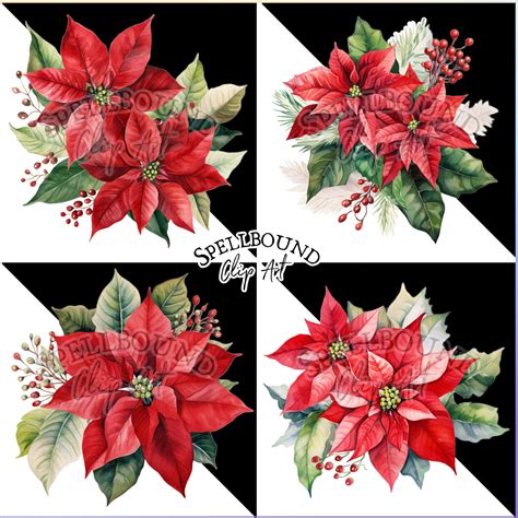 Watercolor Poinsettias Digital Clipart Commercial Use Instant Download Christmas Clip Art