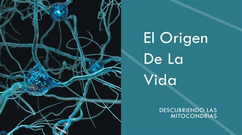 Descubriendo Las Mitocondrias El Origen De La Vida