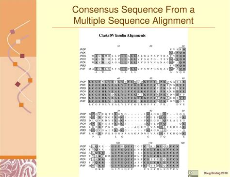 Ppt Computational Molecular Biology Biochem 218 Biomedical